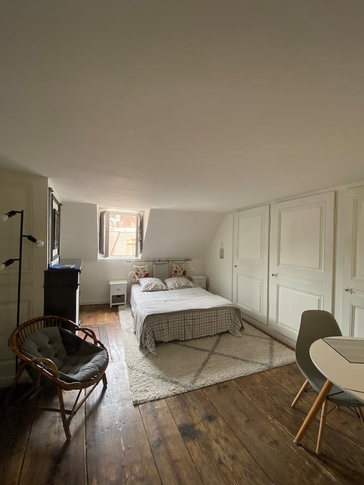 Dole : Le Studio Du Chat - Jura