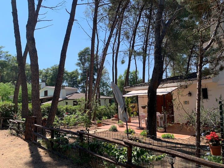 Villa Con Giardino Recintato.accesso Alla Spiaggia - Castellaneta Marina