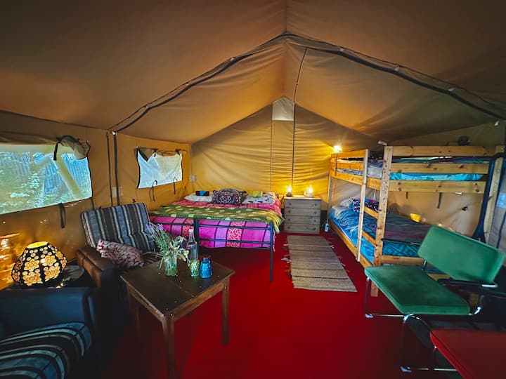 Adventurous Safari Tent In Forest (Lampetee) - Groningen