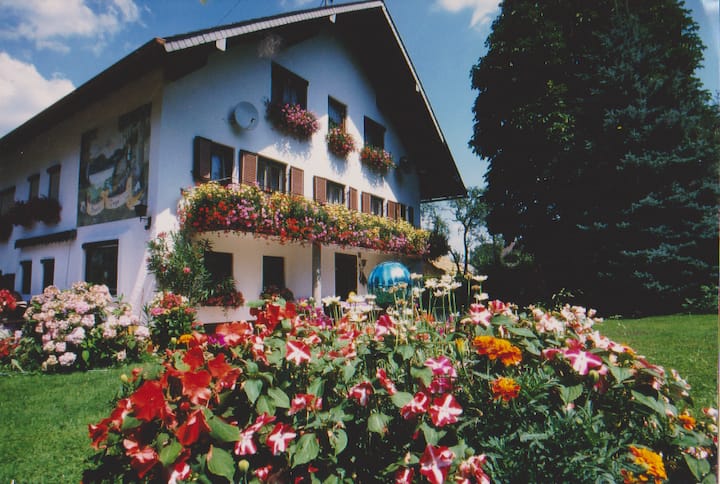 Ruheoase Nahe Am Attersee Zi 2 + Balkon Und Parkpl - Attersee