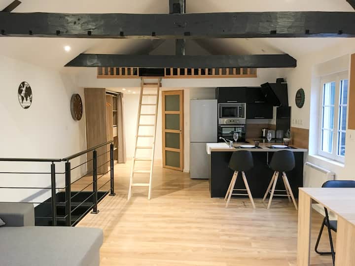 Loft Lumineux Hyper-centre  Fibre/tv Connectée - Amiens