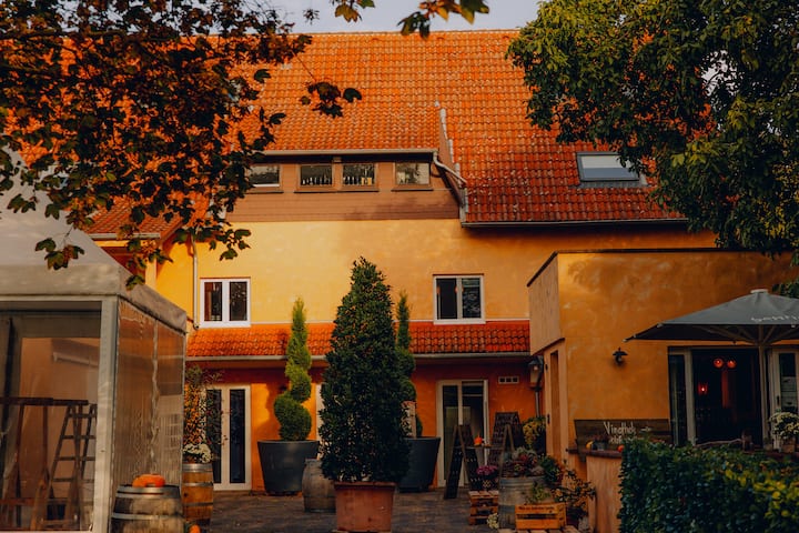 Ferienwohnung I Riesling - Nierstein