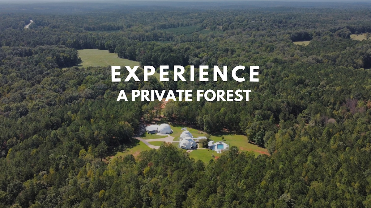 The Florrest All Domes Retreat - Dome houses for Rent in Round Oak ...