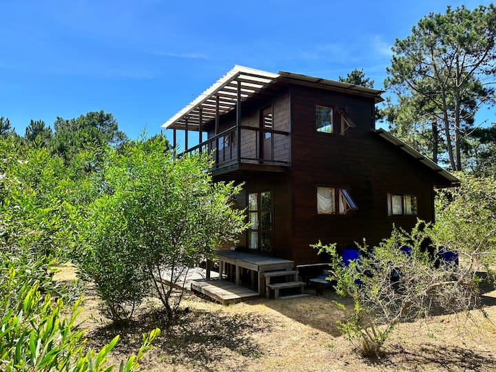 Maison Dans Les Bois Avec Vue Sur La Mer - Uruguay