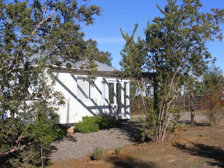 Detox Familiar: 2 Hectáreas De Bosque Pet-friendly - O'Higgins