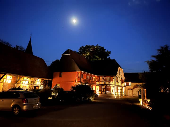 Grands Espaces-ancien Corps De Ferme Xviiie Colmar - Horbourg-Wihr