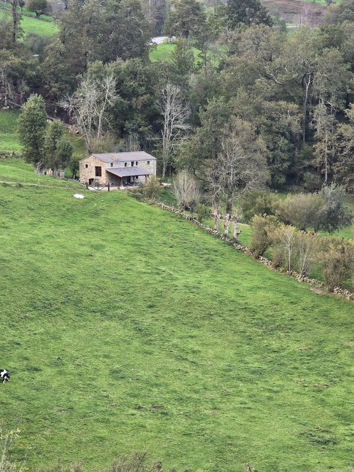 Cabaña Rural Pasiega Angostina. - Liérganes