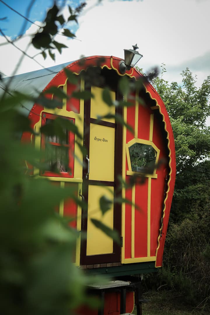 Gypsy Gem - Te Anau