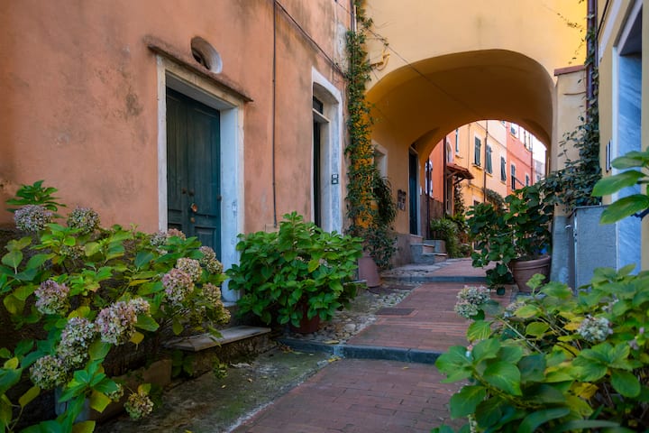 Lerici, Pugliola - Ancient Liguria - Free Parking - Lerici