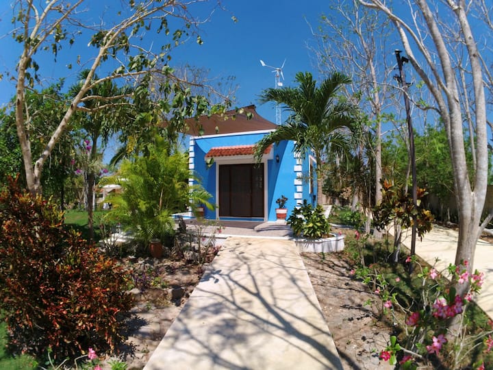 Country House With Pool Near Merida - Yucatán
