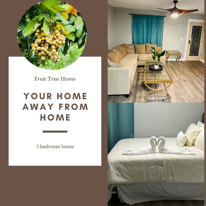 3bdrm Fruit Tree Home Near Downtown Orlando - Orlando, FL