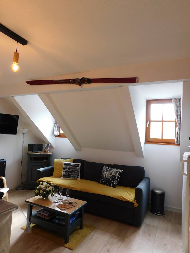 Appart  4/6 Pers Saint Lary  Ski/montagne/thermes - Saint-Lary-Soulan