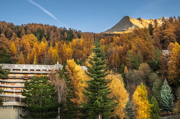 Abbraccio Alpino - Cogne