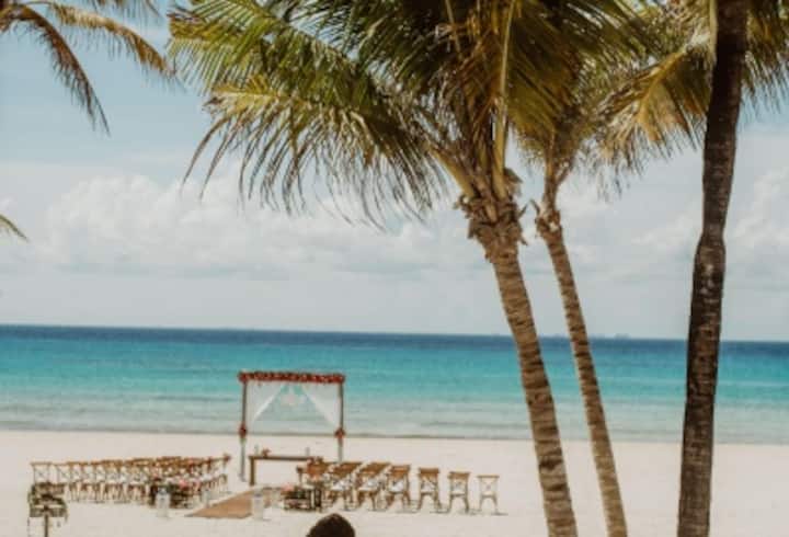 Sandos Playacar Vip All-inclusive Resort|kids Free - Mexique