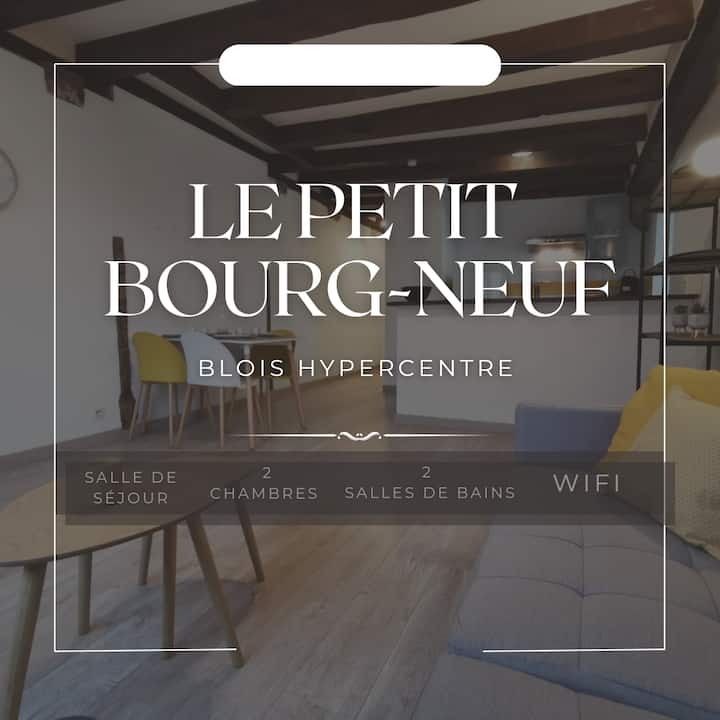Le Petit Bourg-neuf - 2 Chambres,2 Salles D'eau - Blois