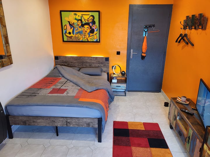 Chambre Tout Confort Proche Du Centre-ville - Mulhouse