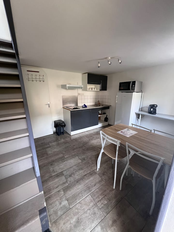 Appartement En Duplex Au Centre Briare - Briare