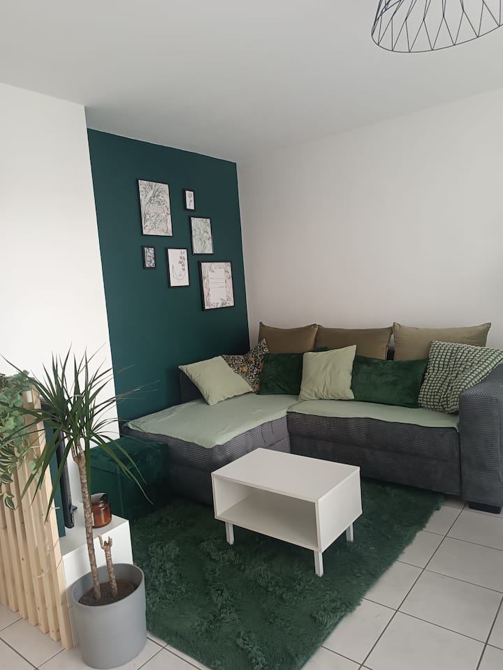 Bel Appartement 1 Pièce - Illkirch-Graffenstaden