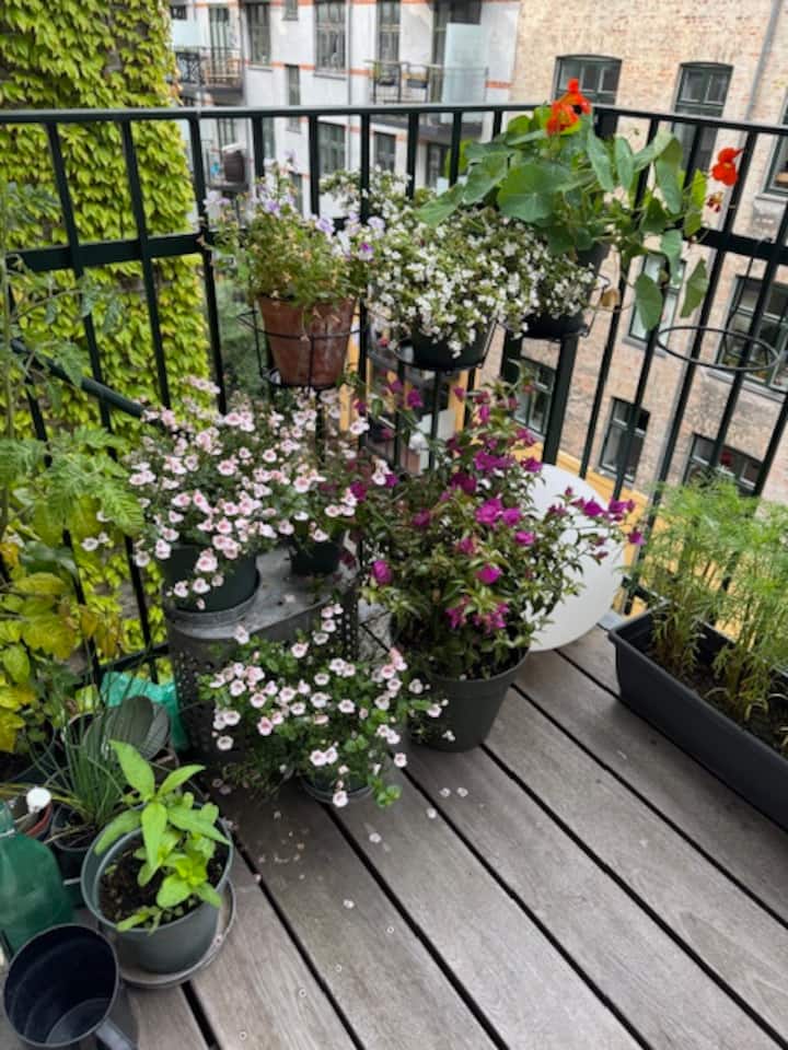 A Gem Of Charm And Coziness On Jægersborggade - Copenhague