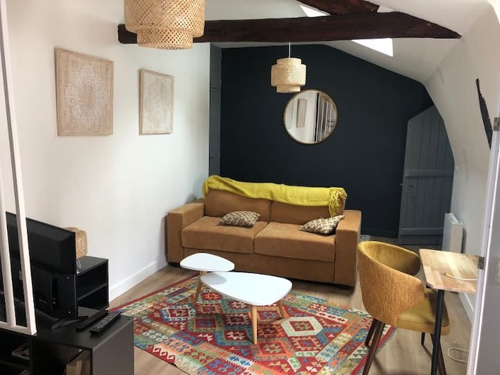 Appartement En Cœur De Ville - Angers