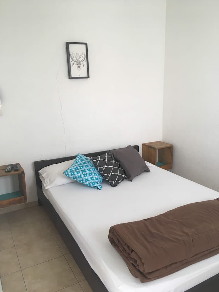 Habitación En Centro Histórico -
Ciervo - Querétaro