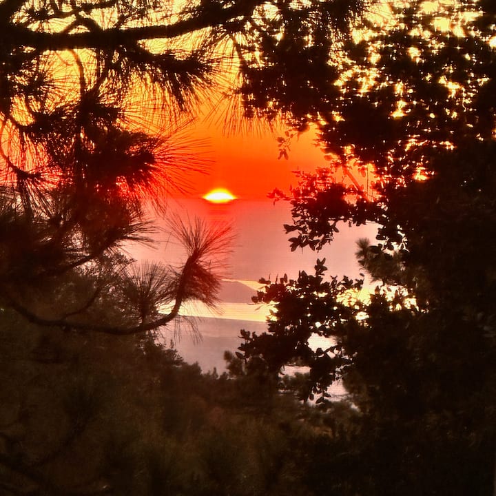 Stunning Views, Cozy, Private, Pet-friendly - Idyllwild-Pine Cove, CA