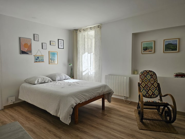 Chambre Et Salle D'eau Indépendantes En Plein Coeur De Riom - Riom