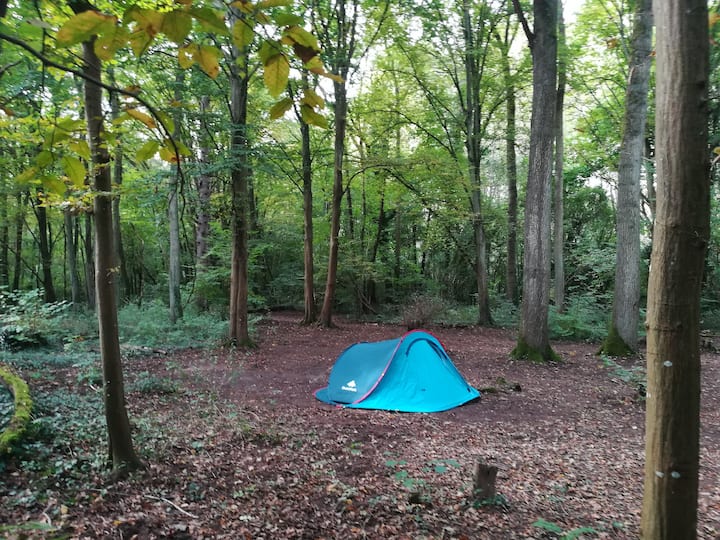 Place De Camping Atypique Dans Un Cadre Hors Norme - Savigny-le-Temple