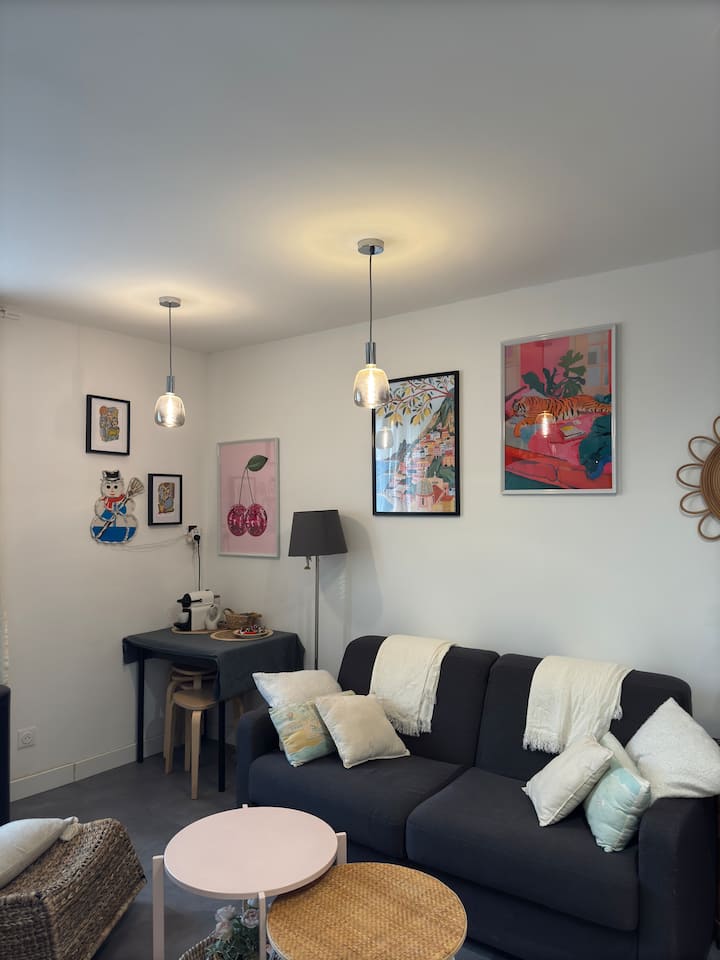 Super Logement Entier T3 Chaleureux, Lyon 7ème - Lyon
