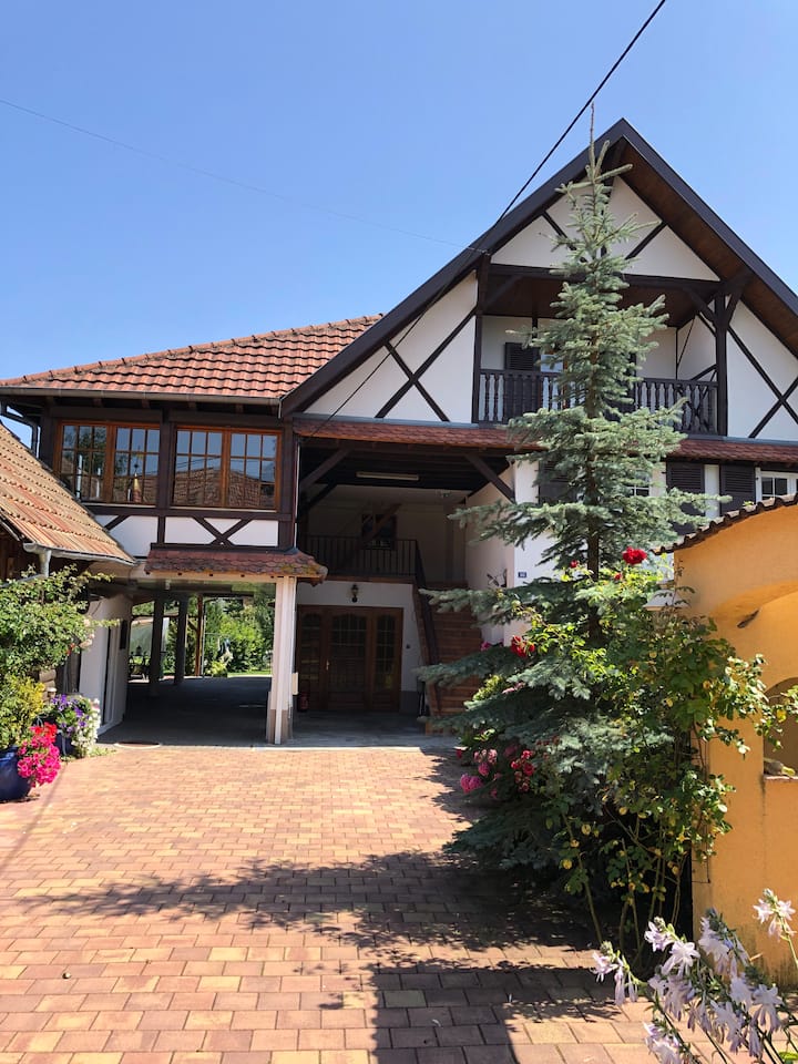 Gîte Des Roses Spacieux, 10mn Europapark Par Ferry - Rhinau
