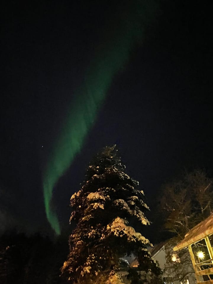 Traditional Finnish Home - Rovaniemi