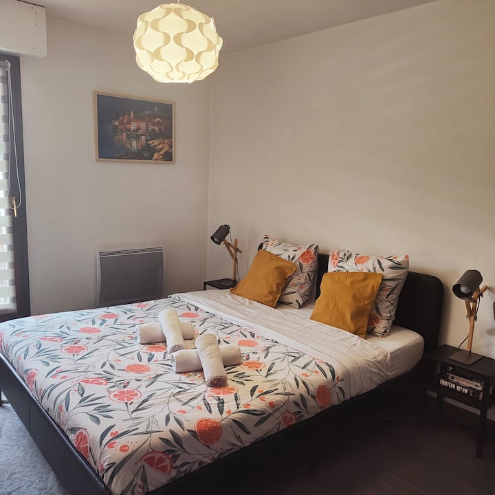 Superbe Appartement Avec Un Garage Sur Place - Hôpital de Hautepierre