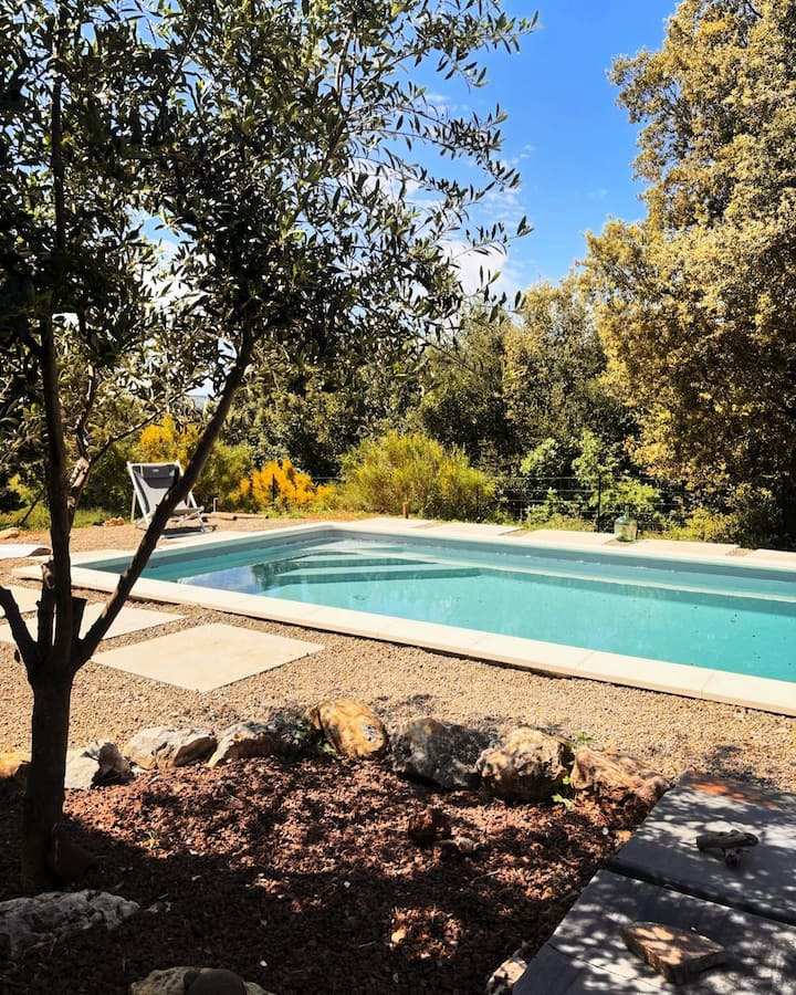 Villa  Aux Portes Du Verdon Avec Spa Et Piscine . - Var