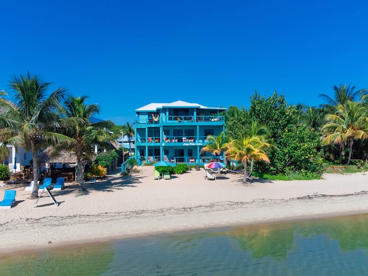 Lazy Palm Suites- Yolo Suite- Oceanfront - Placencia