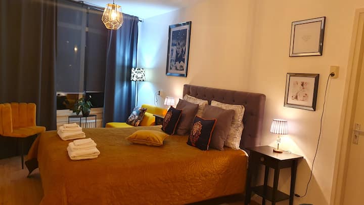 Royal Room Luxe B&b Met Terras En Ontbijtruimte - Rotterdam