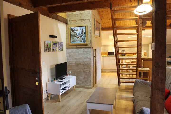Appartement Le Riondet Ensoleillé - Lac de la Gittaz