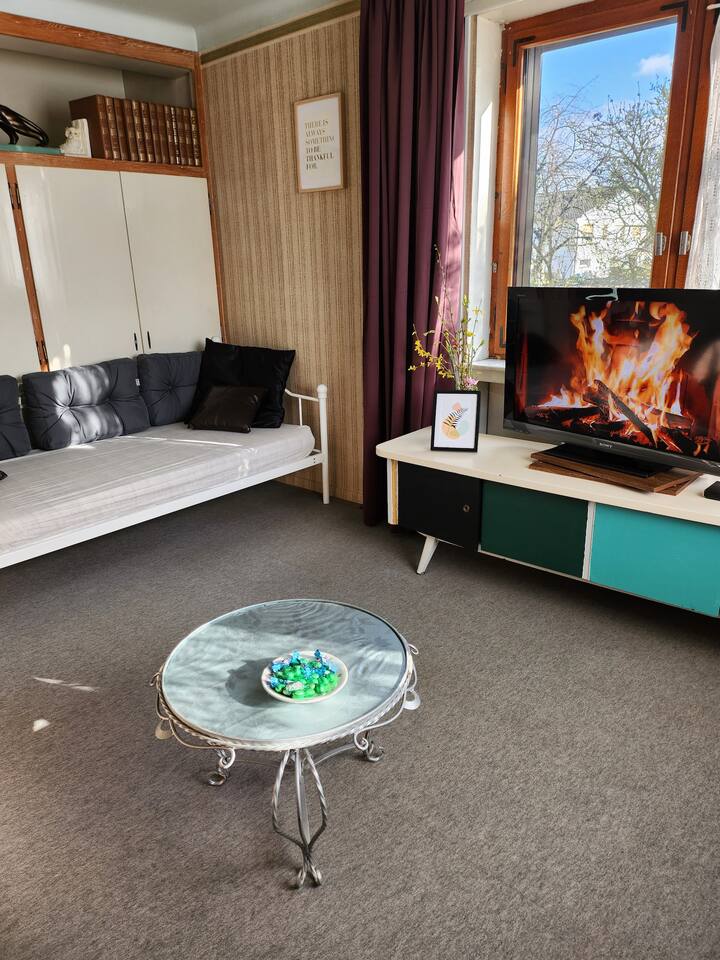 Ch Lumineuse-bureau–séjour Pro - Amnéville