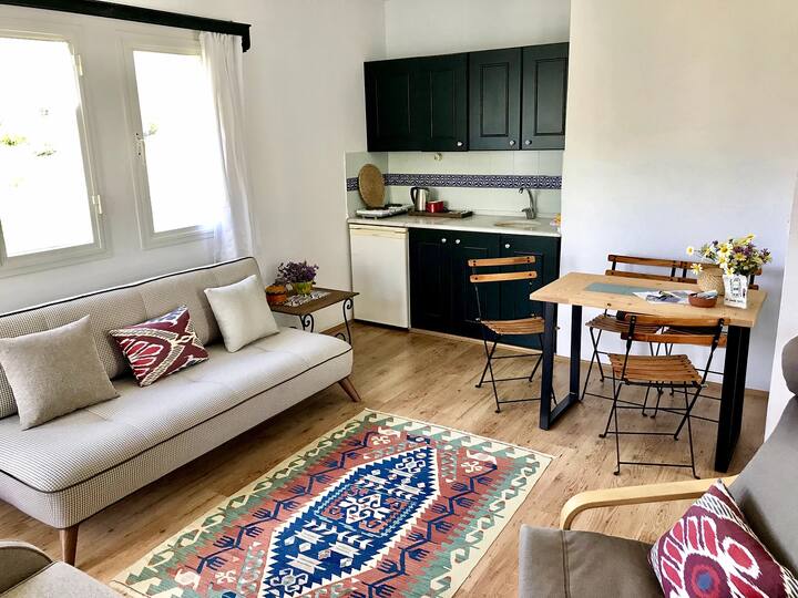 Villa Tokur Suite B  Max. 2 Adults + 2 Children - Datça