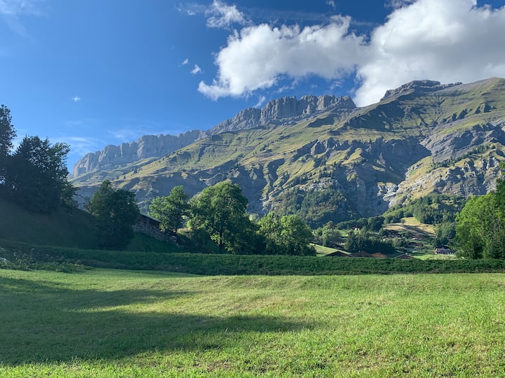 Vue Montagne | Randos Nature-grand Air | Gîte Cosy - La Giettaz