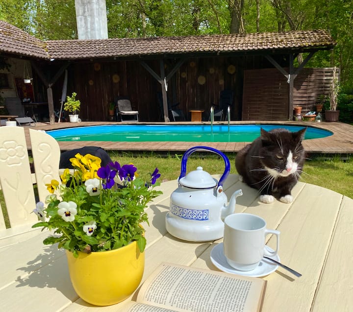Ferienwohnung Pool/kultur/natur Pur Im Oderbruch - Brandenburg