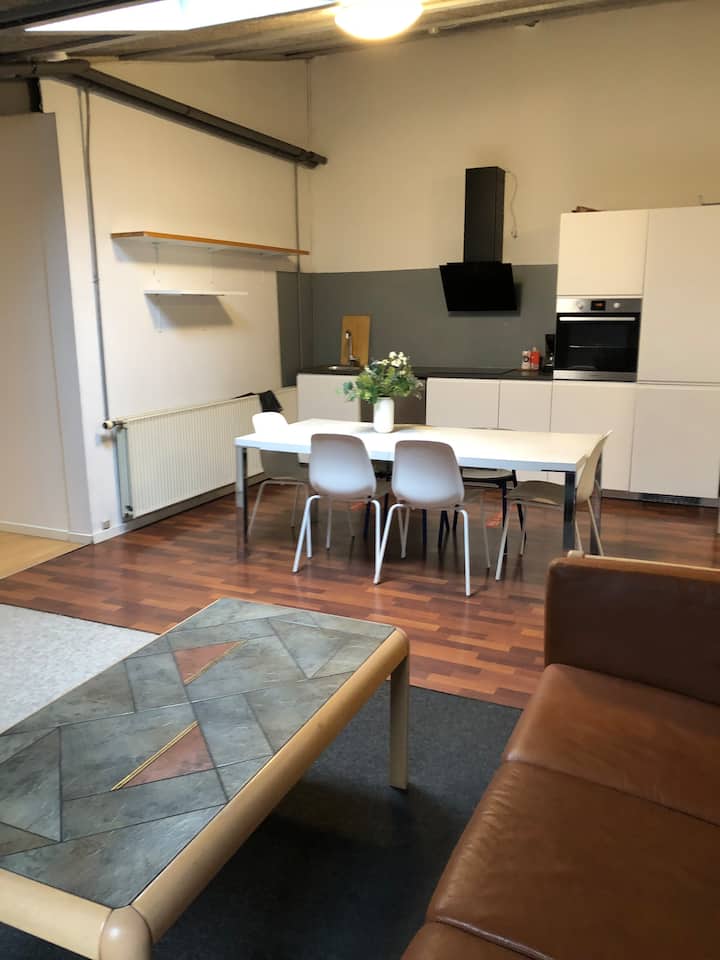 Craftman Apartment For 6 Workers - Odense