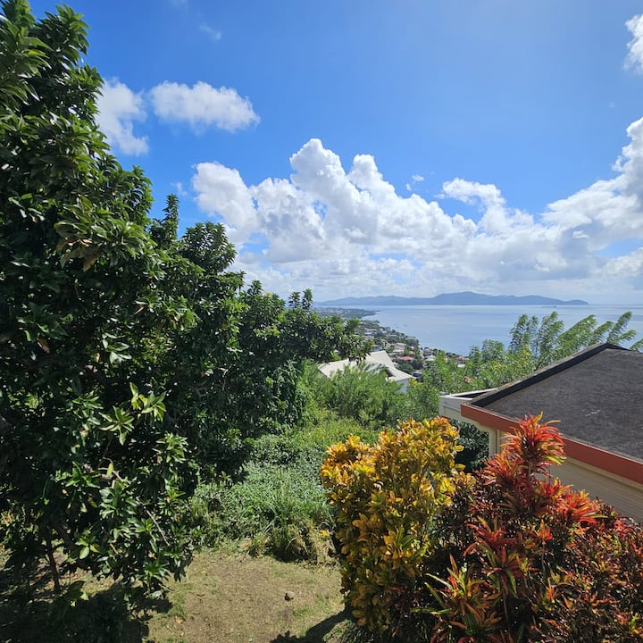 Appartement Bas De Villa Ensoleillé Et Convivial - Martinica