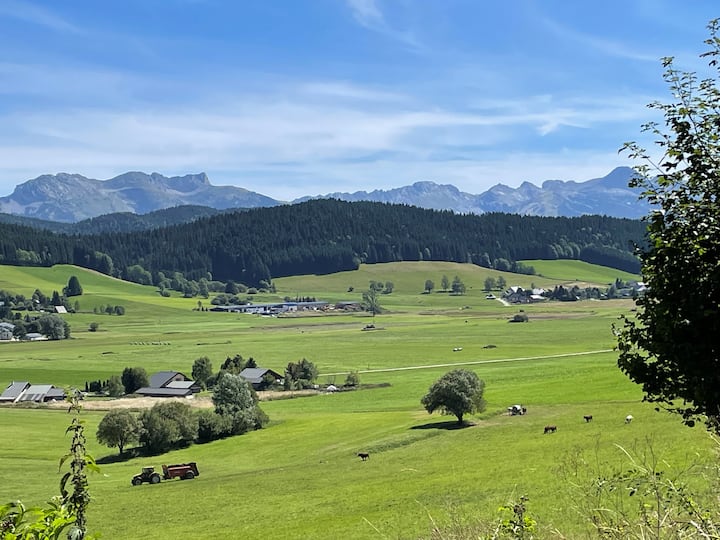 Très Bel Appartement  Au Pied Des Pistes - Méaudre