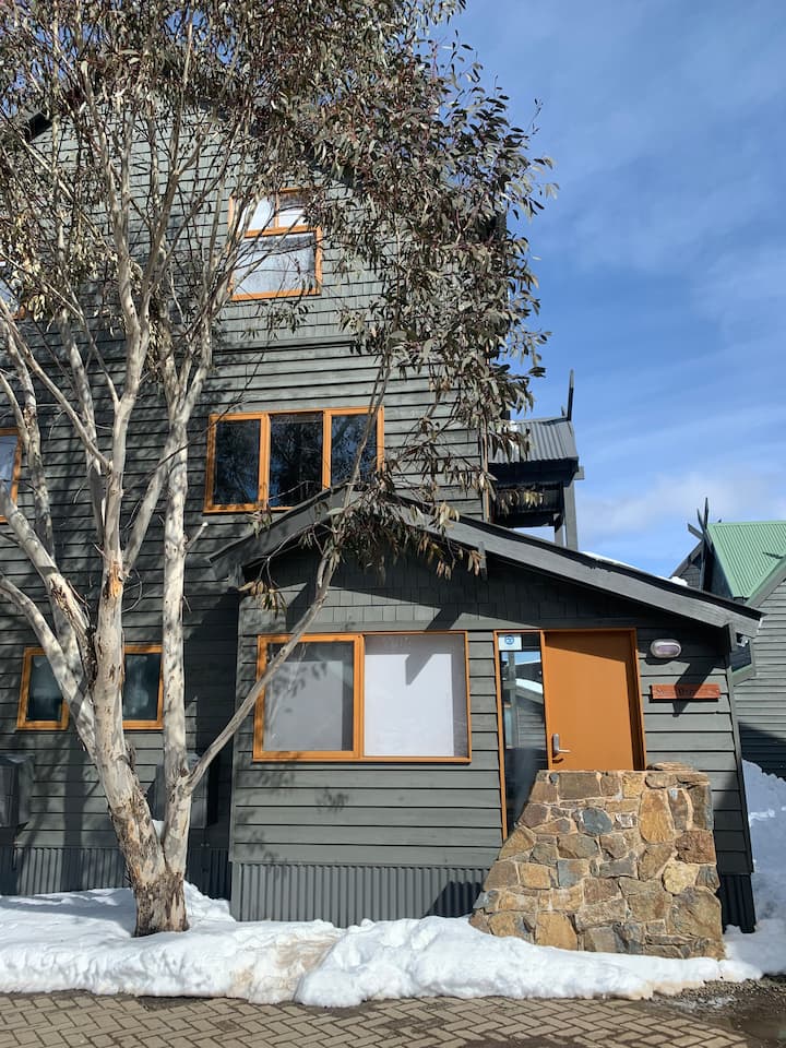 Snow Dayz - Dinner Plain