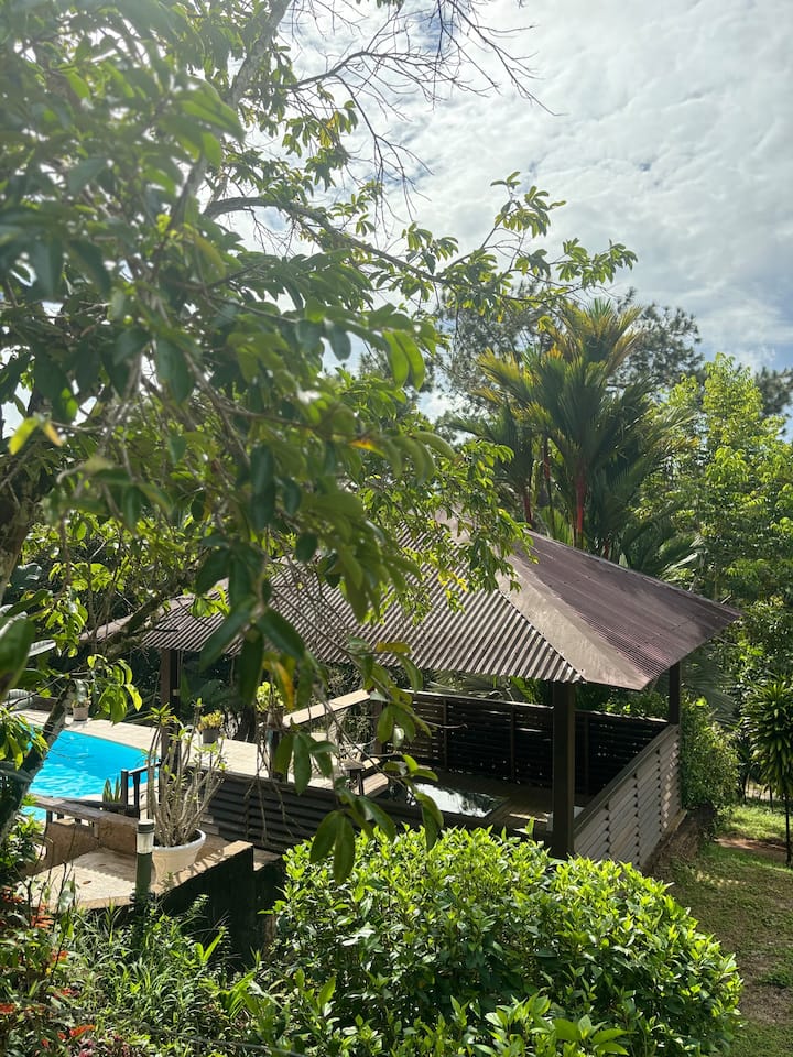 Chambre-1 
Comou Au Cœur Des Palmiers - Guyane française