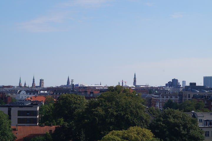 Great City View From Great Flat In Frederiksberg - Copenhagen