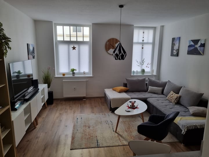 Beautiful Flat For Students, Work Or Travellers - Gera