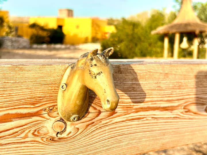 L’eco-ranch De Salomé - Sidi Kaouki