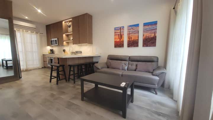 Condo Felix (V#5)  - Perfectly Renovated. - Tamarindo