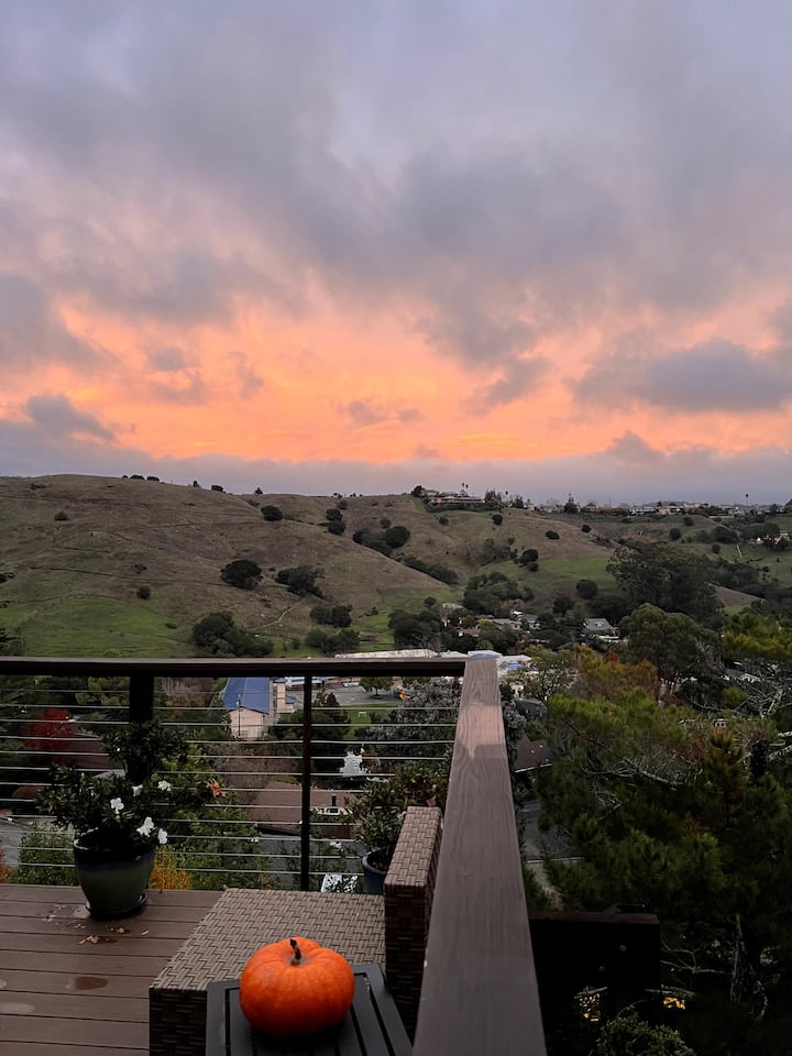 Marin Suite Close To San Francisco & Wine Country - San Rafael, CA